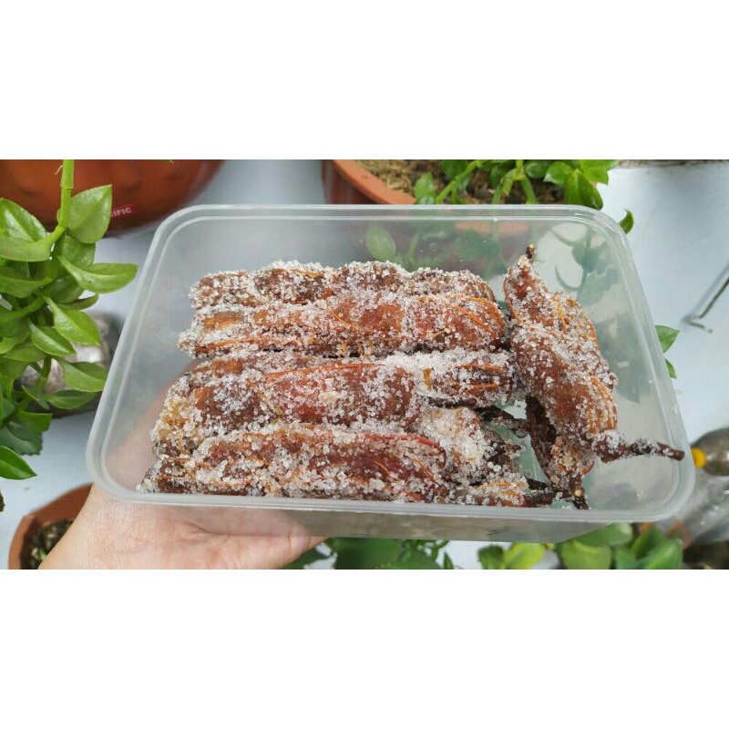 Jual MANISAN ASEM ASAM PANJANG 500gram DISKON TERBATAS | Shopee Indonesia