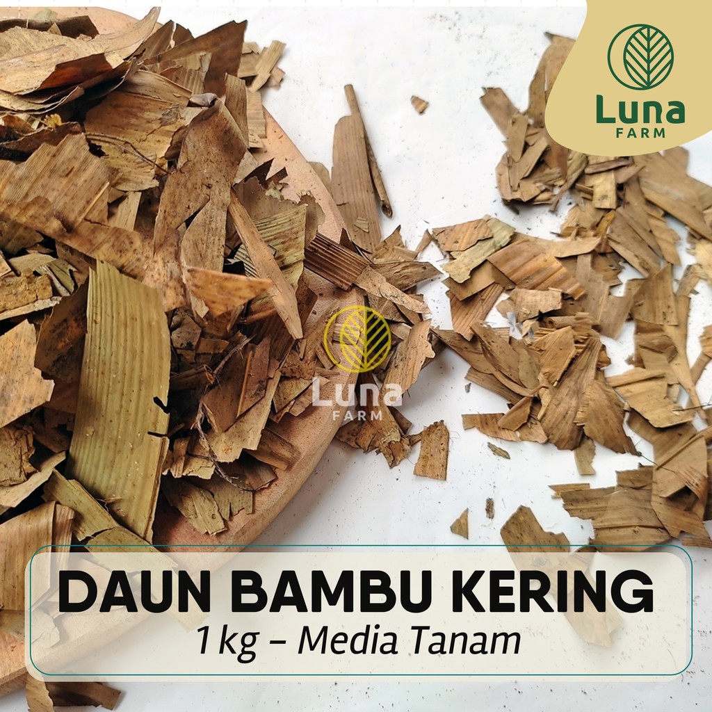 Jual Humus Bambu Media Tanam Kemasan 1Kg | Shopee Indonesia