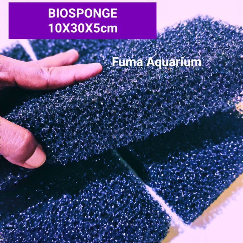 Jual BIOFOAM BIOFILL BIOSPONGE BIOMATE 30 X 10cm Tebal 5cm Filter ...