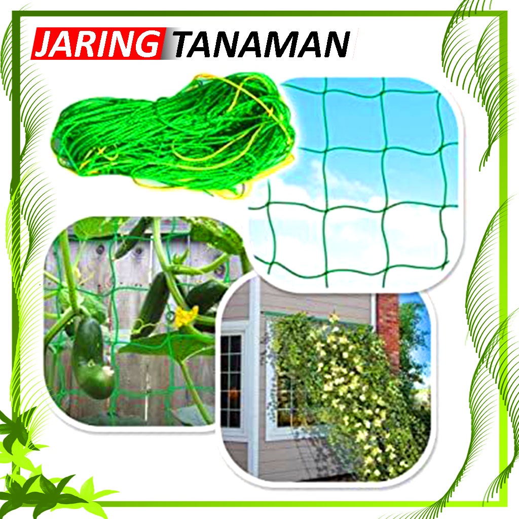 Jual Climbing Net For Gardening / Vegetable Farm / Tali Nilon Penopang ...
