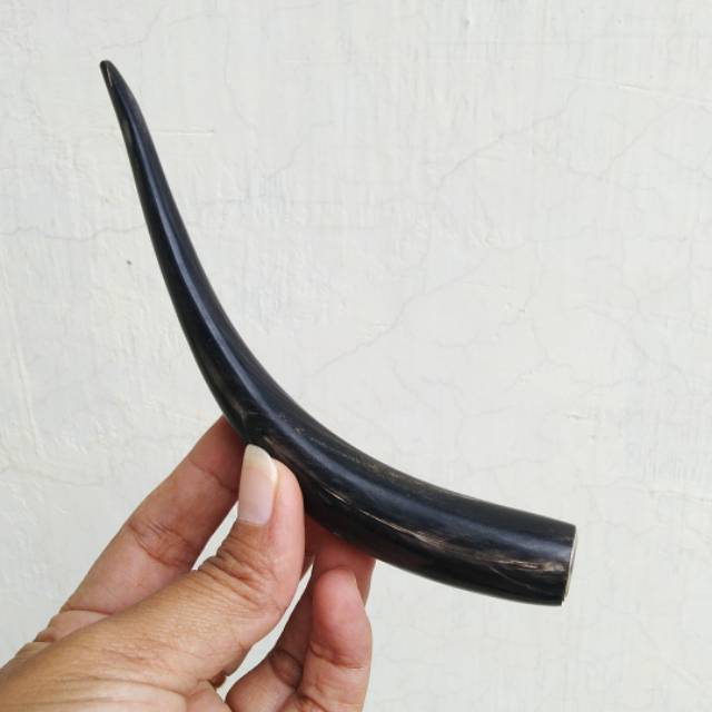Jual PIPA ROKOK ONCE TANDUK KERBAU SAPI ANTIK | Shopee Indonesia