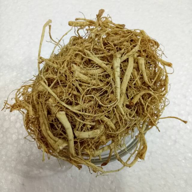 Jual rempah Akar ginseng premium / yang shen xu / som chiu / ginseng ...