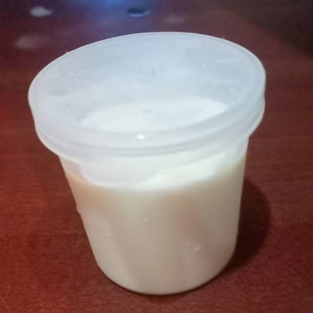 Jual Bibit kefir dari Israel | Shopee Indonesia