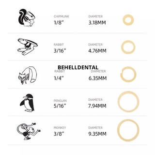 Jual 100 pics Karet Behel Elastis // Elastic Band ortho // Rubber ...