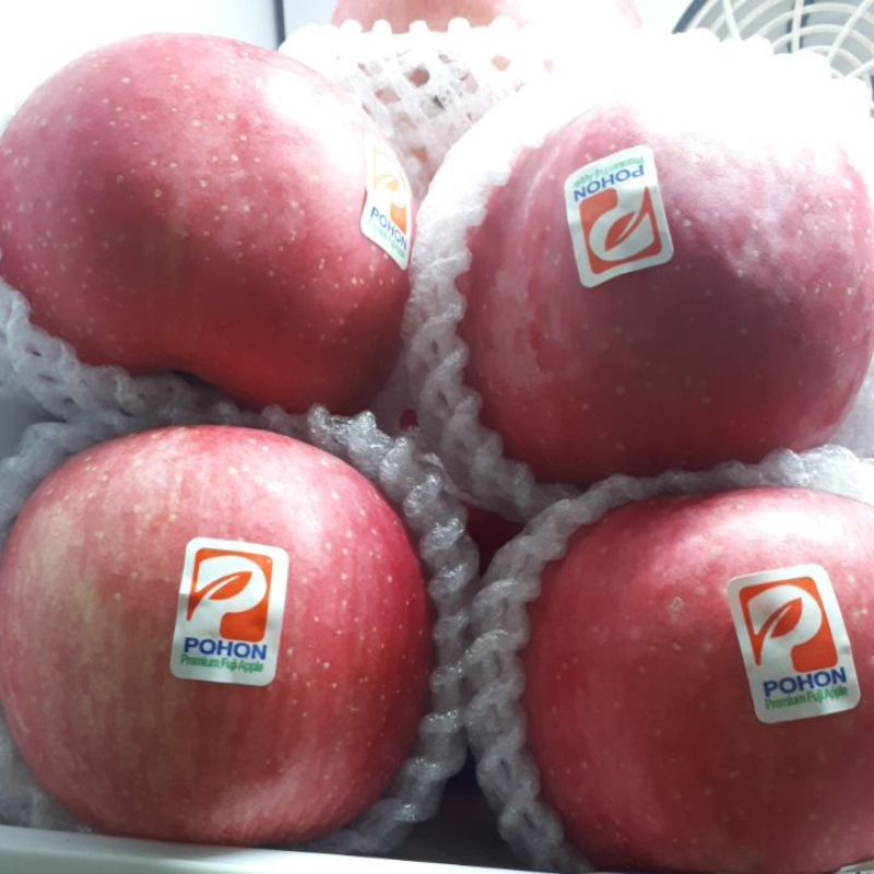 Jual Apel pohon premium manis crunchy | Shopee Indonesia