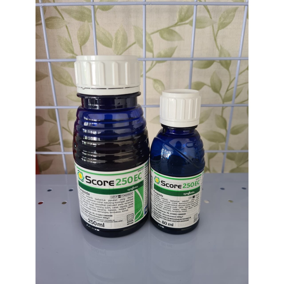 Jual FUNGISIDA SCORE 250EC | Shopee Indonesia