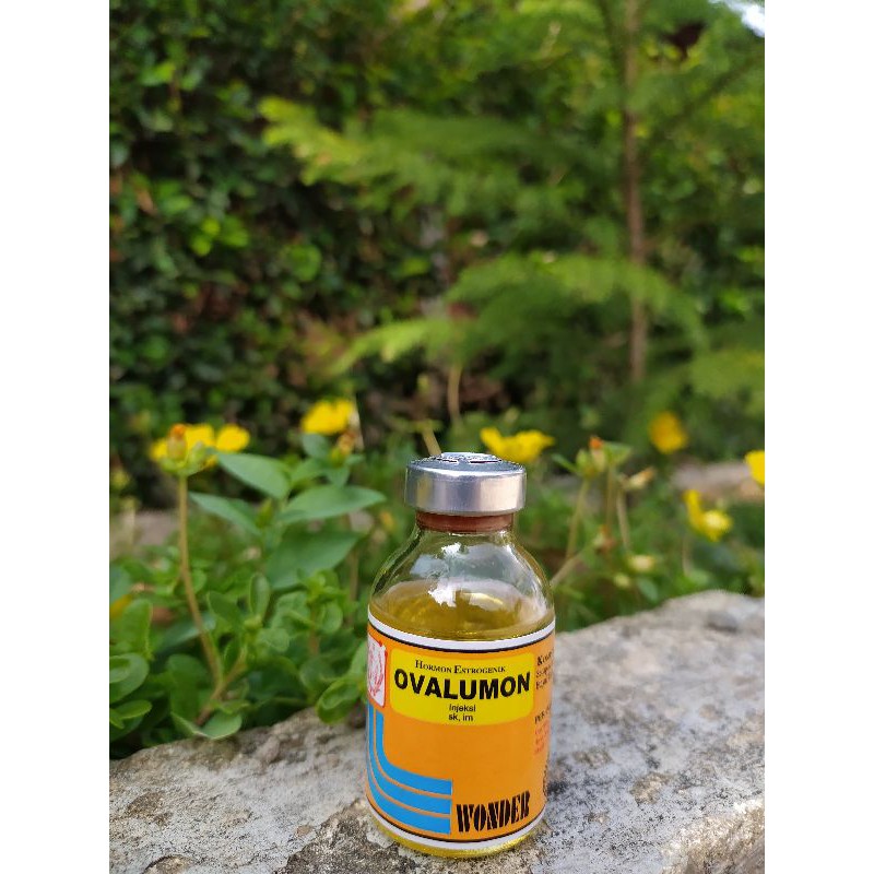 Jual ovalumon 20 ml hormon estradiol tingkatkan birahi hewan betina ...