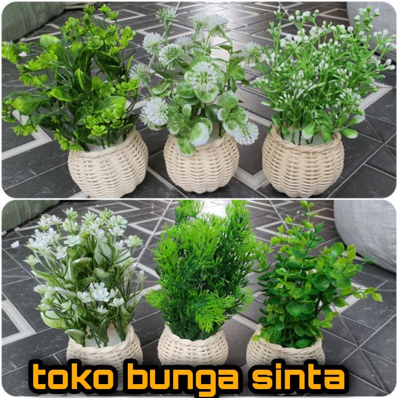 Jual bunga pinus hijau + pot / bunga dekorasi meja | Shopee Indonesia