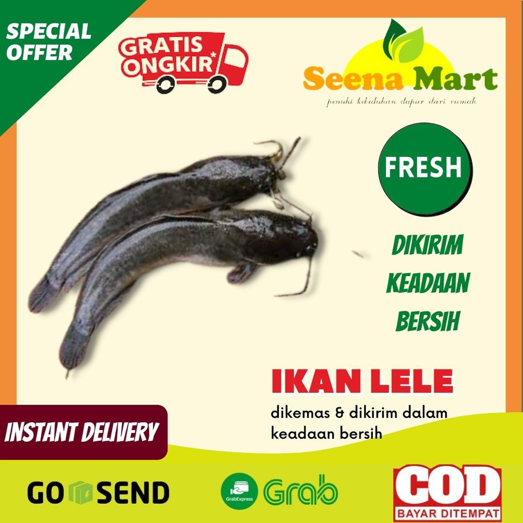 Jual Ikan Segar Ikan Lele Segar Lele Mentah Konsumsi Ikan Fresh 1 kg ...