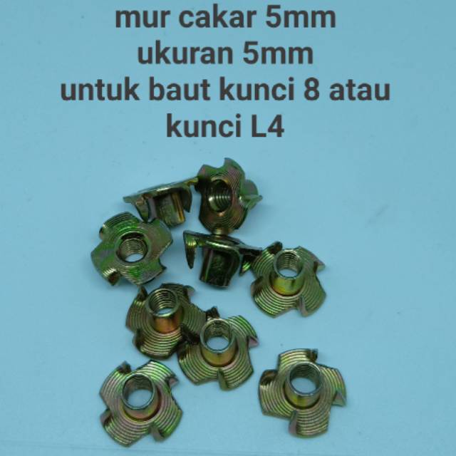 Jual T NUT TEE NUT MUR CAKAR MUR FURNITURE MUR TANAM KAYU M5 | Shopee ...