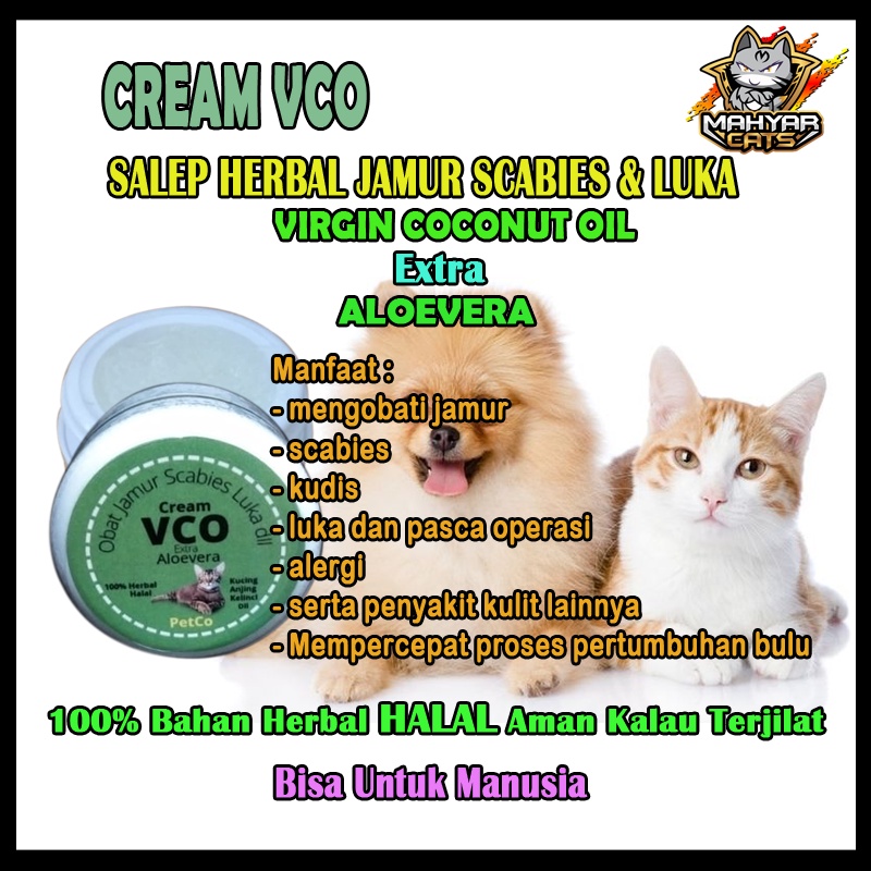 Jual Salep Obat Jamur kucing anjing Kelinci / Obat Anti Jamur Kucing ...