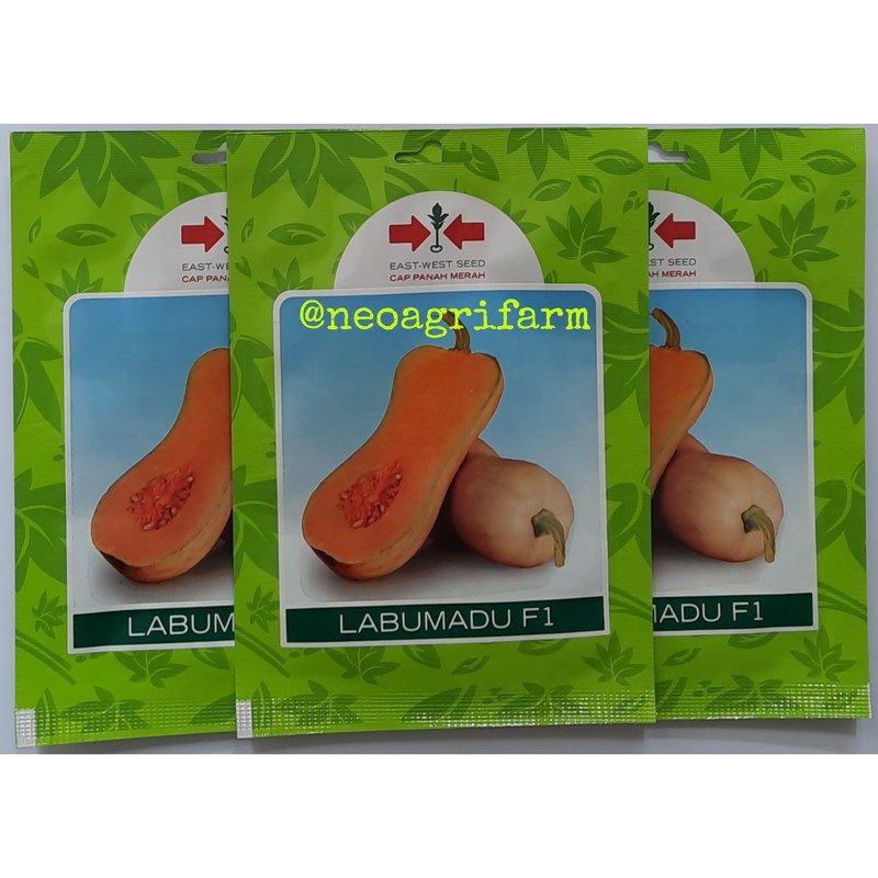 Jual Benih Labu LABUMADU F1 Butternut Cap Panah Merah | Shopee Indonesia