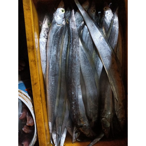 Jual Ikan Layur Segar | Shopee Indonesia