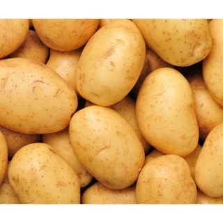 Jual Kentang 1 Kg Terlengkap & Harga Terbaru Juli 2024 | Shopee Indonesia