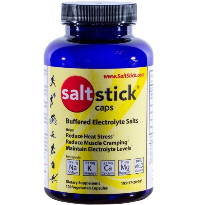 Jual SALTSTICK Buffered Electrolyte Caps, 100 Vegetarian Capsules ...