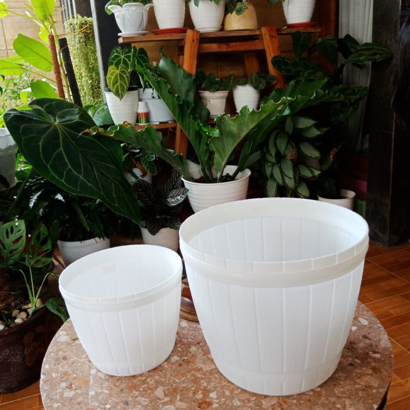 Jual pot gentong putih 18 / pot gentong plastik / pot bunga putih / pot ...