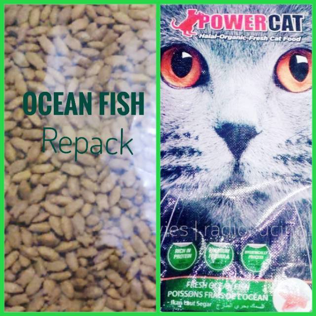 Jual (Dry Food) Power Cat Fresh Oceah Fish 1 kg Repack Makanan Kucing ...