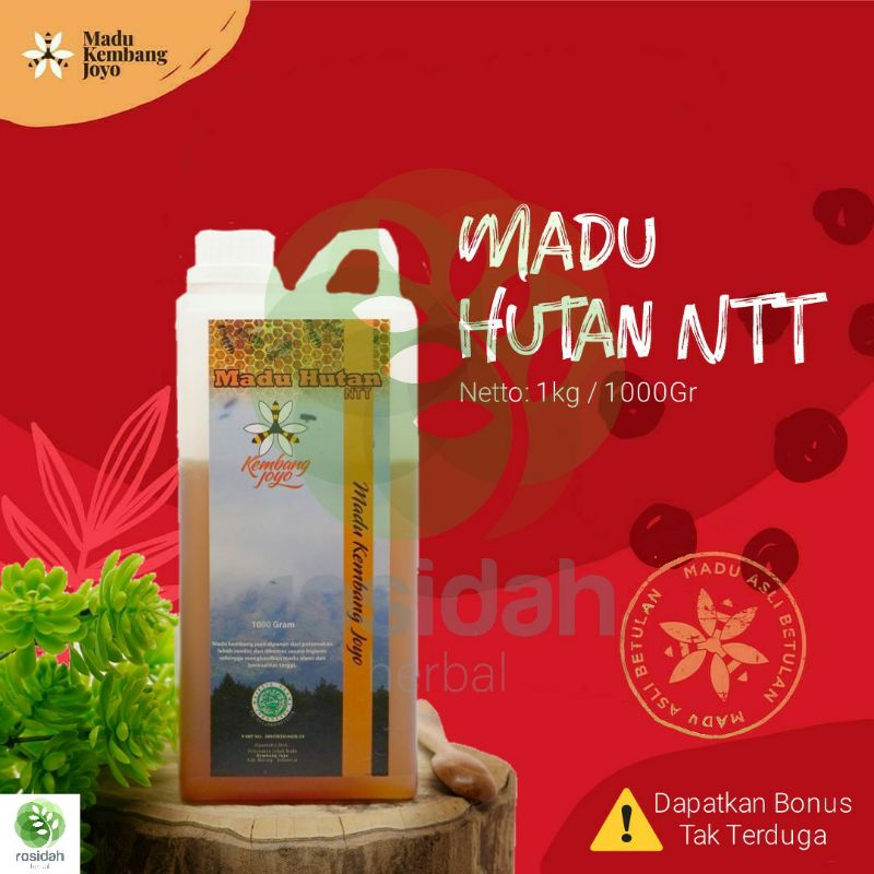 Jual Madu Hutan NTT 1 Kg / 1000g - Madu Kembang Joyo | Shopee Indonesia