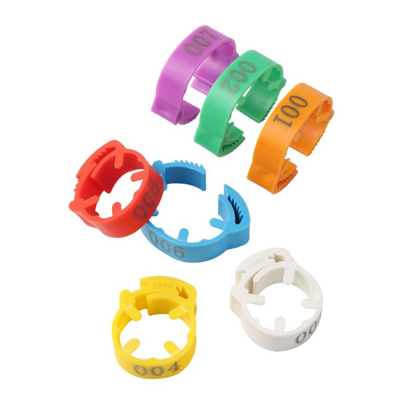 Jual (10pcs) Gelang kaki ayam, entok, bebek, angsa. (Adjustable ...