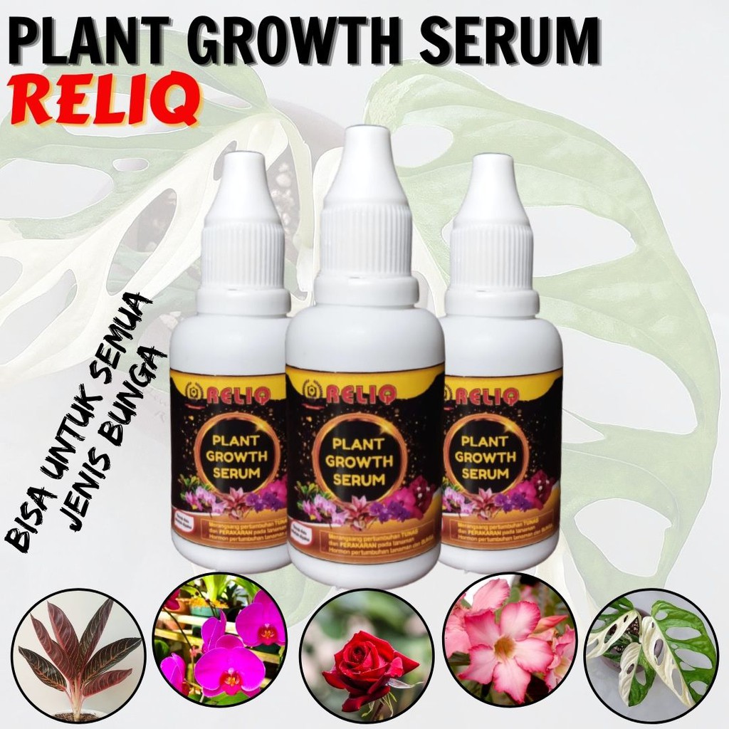 Jual RELIQ Plant Growth Serum, Pupuk Hormon Tanaman Variegata Monstera ...