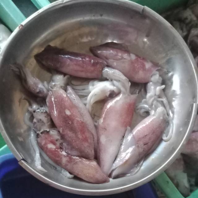Jual Cumi sero segar fres,, terjamin, per kg, Rp 95.000 | Shopee Indonesia