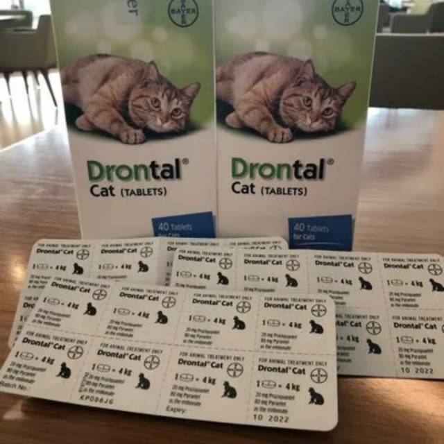Jual Drontal Cat Obat Cacing Kucing 1 pil Obat Drontal Bayer | Shopee ...
