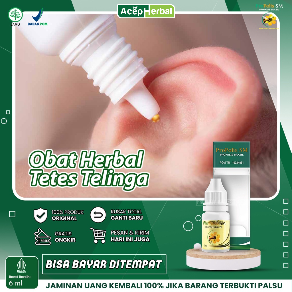 Jual Obat Tetes Telinga Congek Menahun Dewasa dan Anak Telinga Bernanah ...