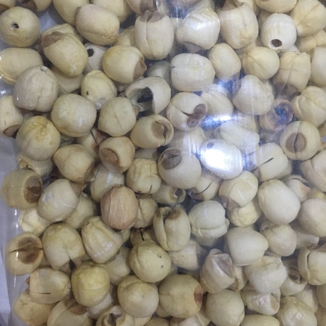 Jual Biji Bunga Teratai / Dried White Lotus seed / Biji Teratai / Lien ...