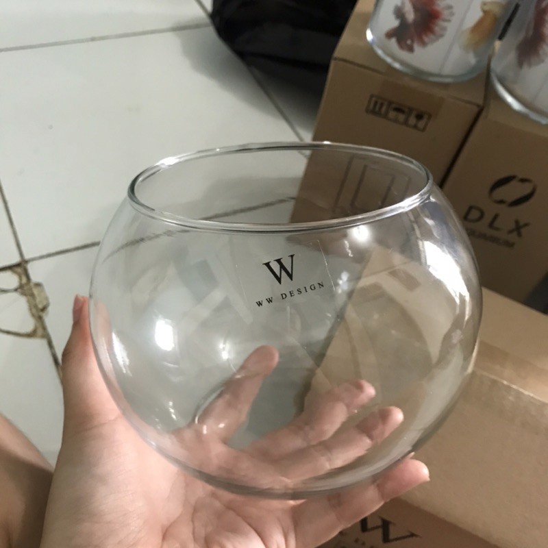 Jual Aquarium mini bulat ikan hias setengah lingkaran koleksi kaca ...