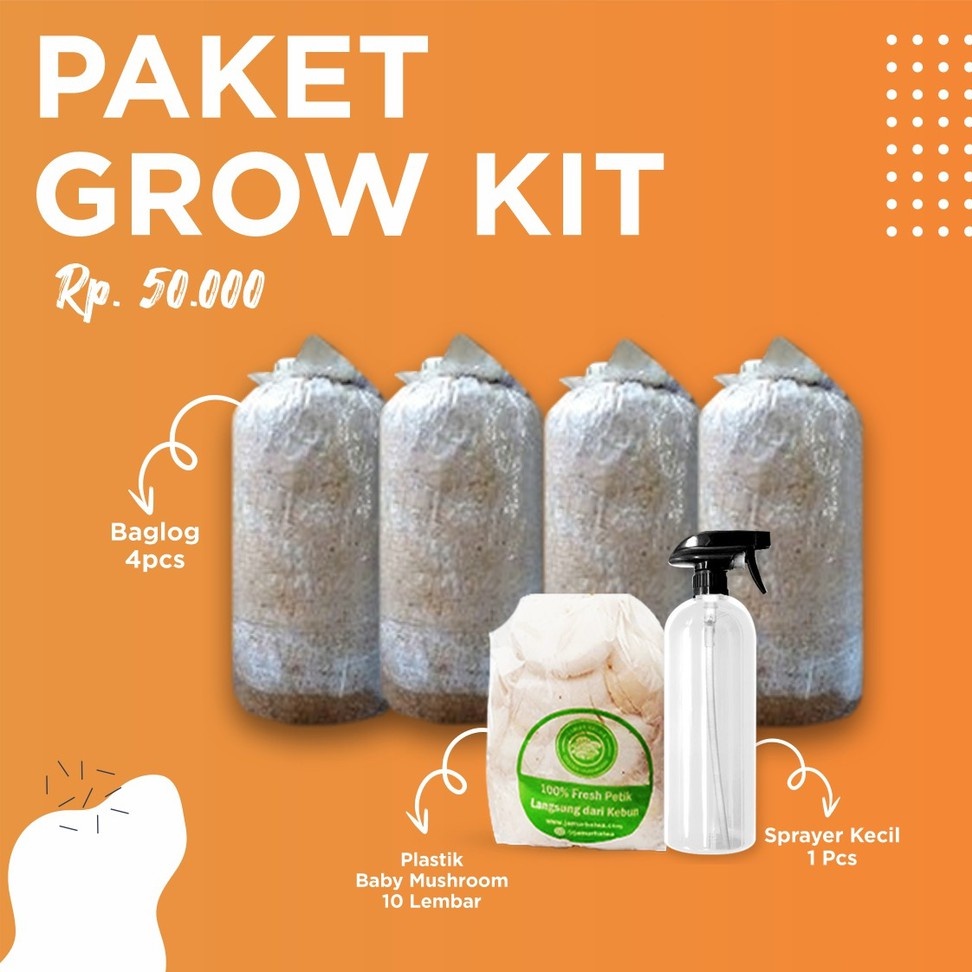 Jual Paket Grow Kit | Budidaya Jamur Tiram Rumahan | Shopee Indonesia