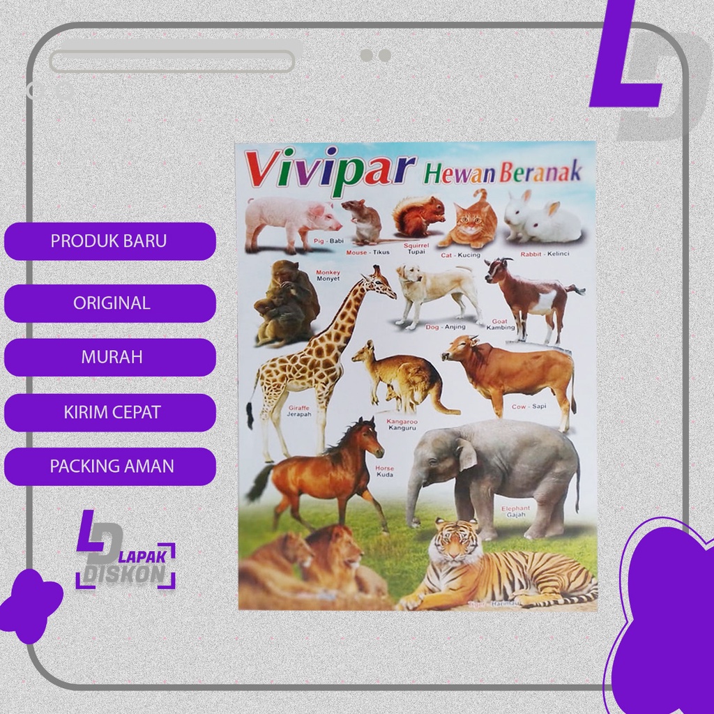 Jual Poster Edukasi Mengenal Hewan Vivipar | Hewan Yang Melahirkan ...