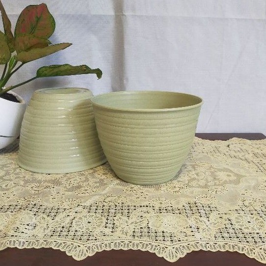 Jual Pot Tanaman Bunga Tawon Ori 18 Matcha (BJP) | Shopee Indonesia