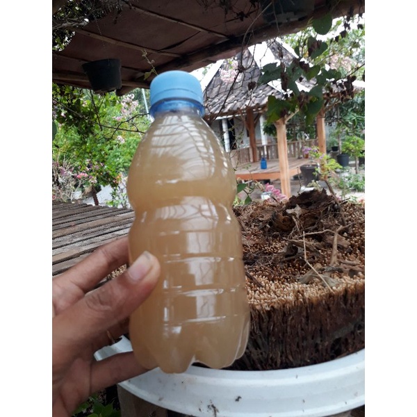 Jual AIR JAKABA MURNI PUPUK ORGANIK 250ml | Shopee Indonesia