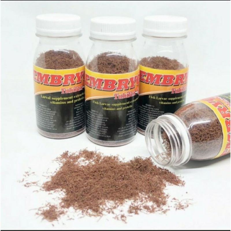 Jual EMBRYO tubifex sp cacing kering cacing sutra kering pakan ikan ...