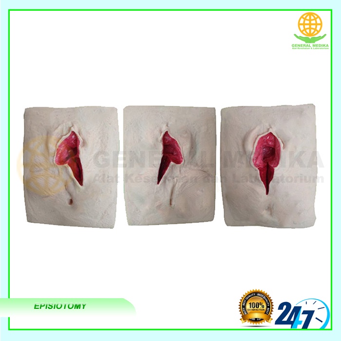 Jual Manekin Episiotomy Model | Manikin Phantom Suture Simulasi ...