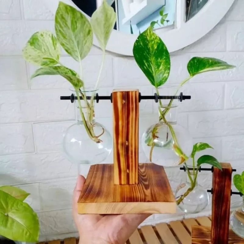 Jual Vas bunga hidroponik (Kaca). | Shopee Indonesia