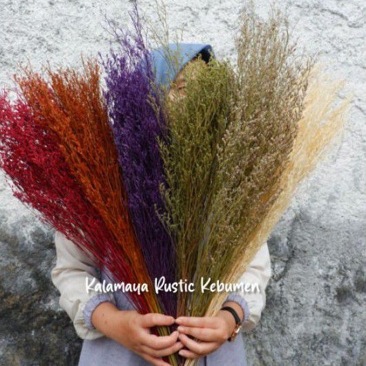 Jual 100 Gram CASPEA Hiasan Buket Bunga Natural Dried Untuk IMP ...