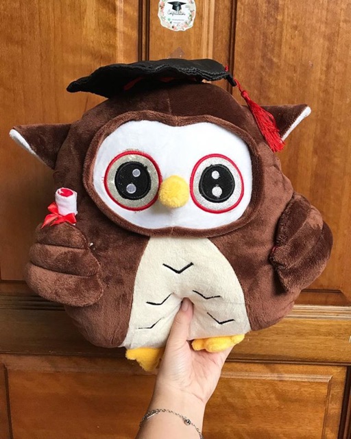 Jual Boneka wisuda owl / burung hantu wisuda | Shopee Indonesia