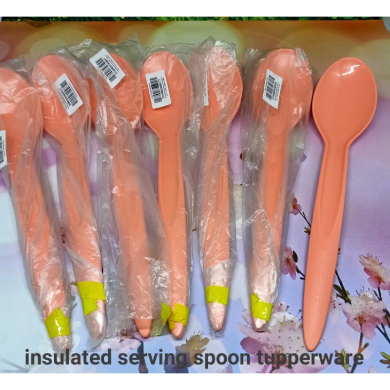 Jual insulated serving spoon tupperware | Shopee Indonesia