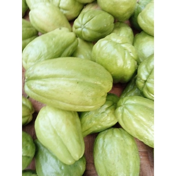 Jual Labu Siam Besar | Shopee Indonesia