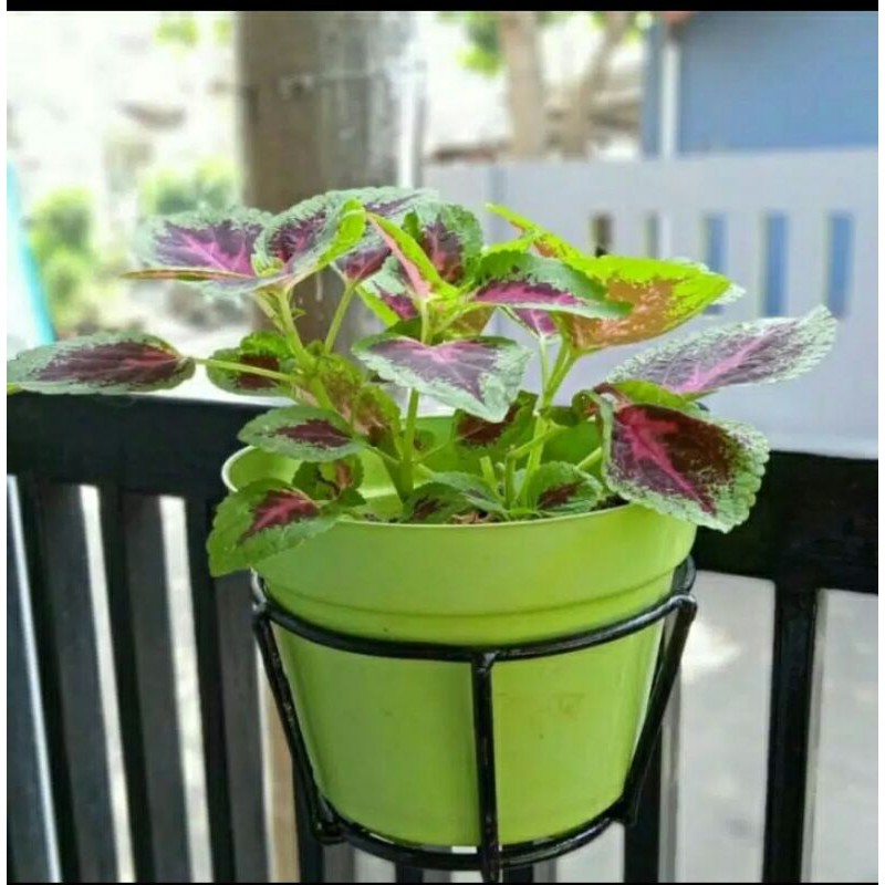 Jual standing pot besi/cantelan pagar praktis | Shopee Indonesia