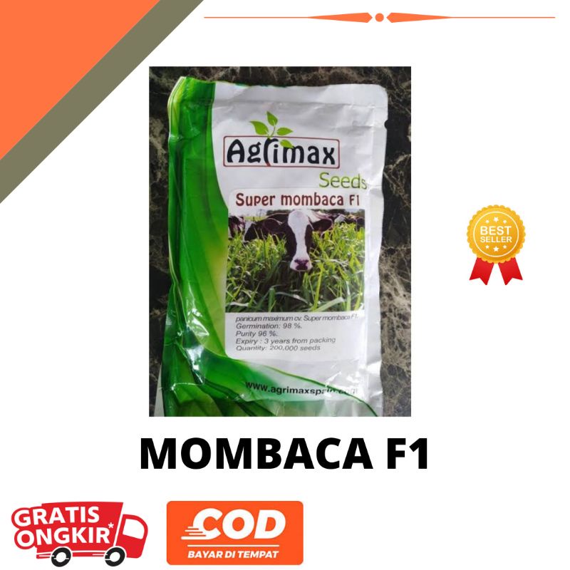 Jual Benih Rumput Mombaca F1 Pakan Ternak | Shopee Indonesia