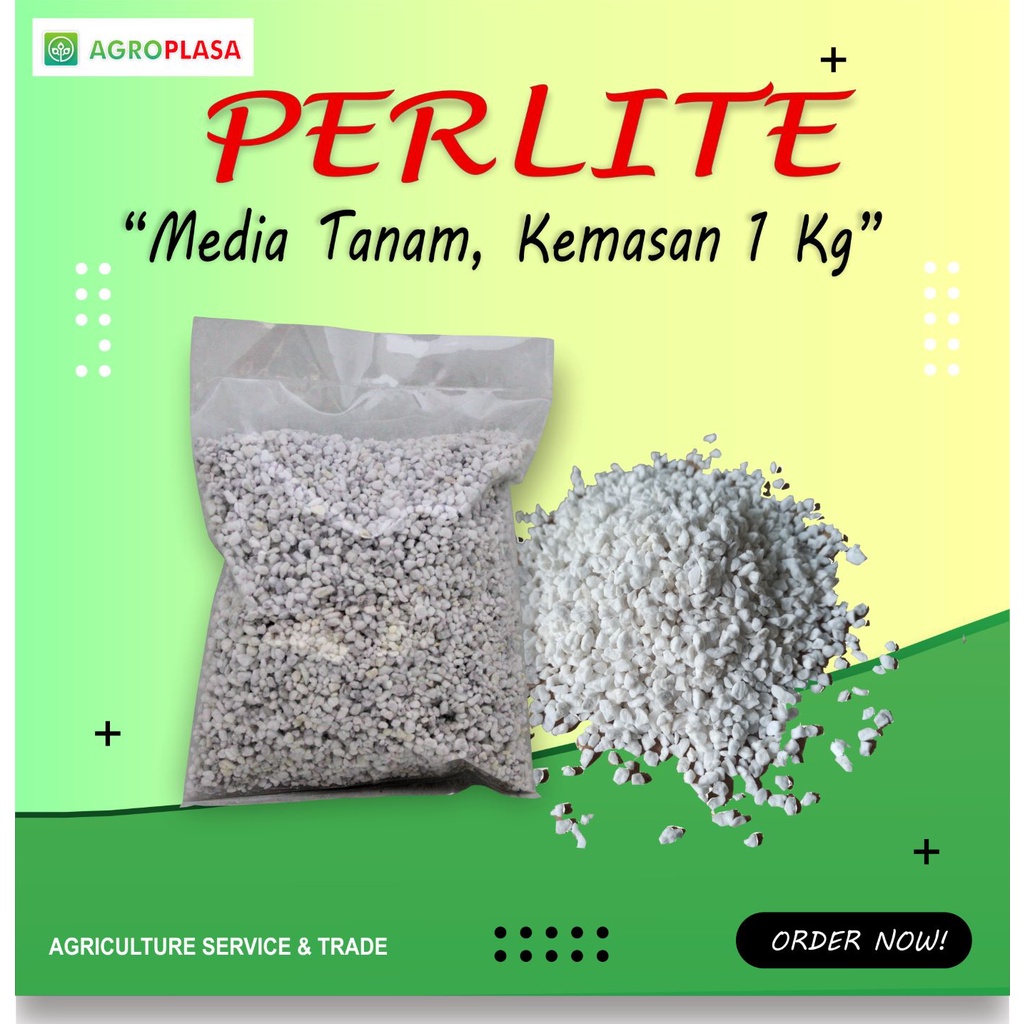 Jual PERLITE Media Tanam - Kemasan 1kg | Shopee Indonesia