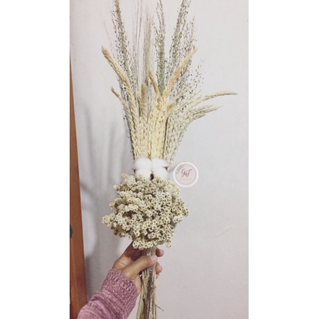 Jual buket bunga edelweis / bucket bunga wedding pernikahan prewedding ...