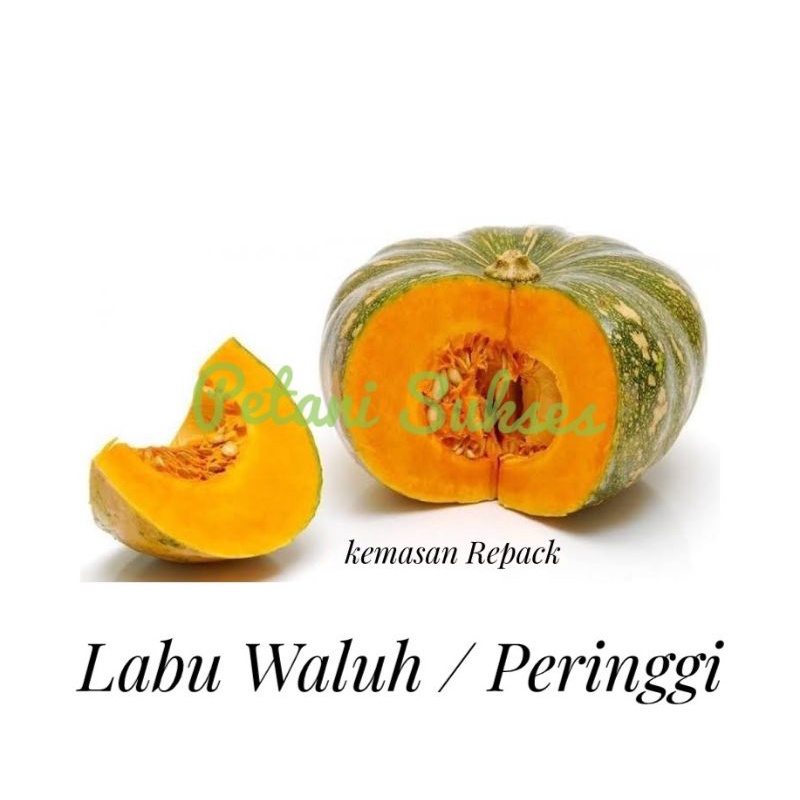 Jual (REPACK 3 butir) Bibit sayuran buah LABU WALUH PERINGGI HIBRIDA F1 ...