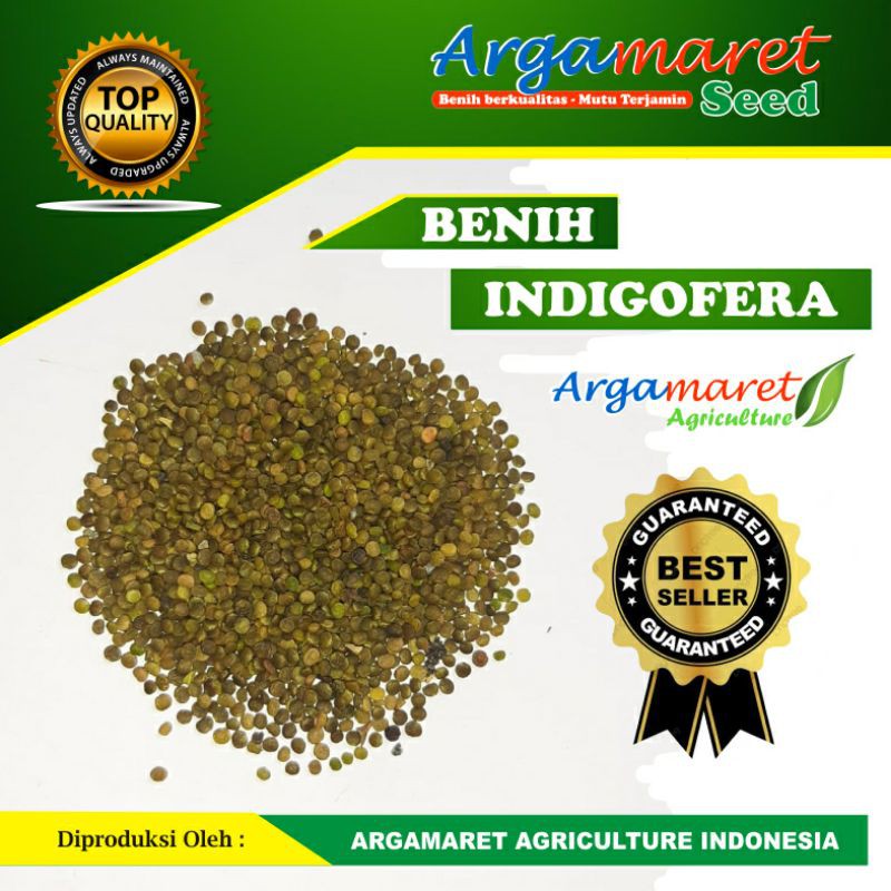 Jual Benih Biji Indigofera Kualitas Super | Shopee Indonesia