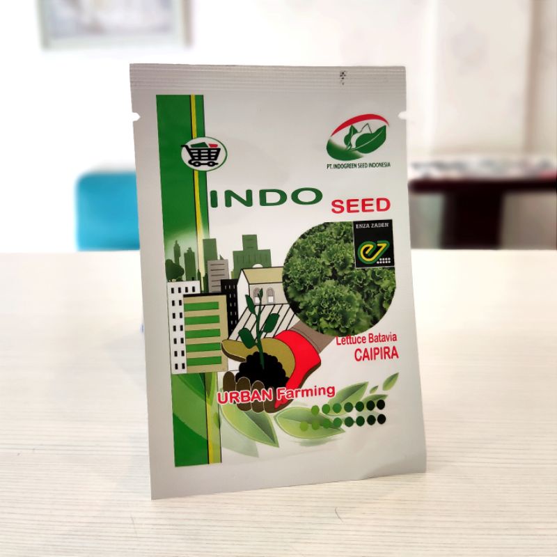 Jual Benih Selada Lettuce Caipira Indoseed 1g | Shopee Indonesia