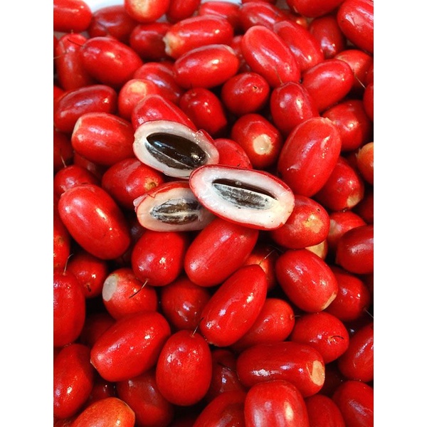 Jual MIRACLE FRUIT (BUAH AJAIB) | Shopee Indonesia