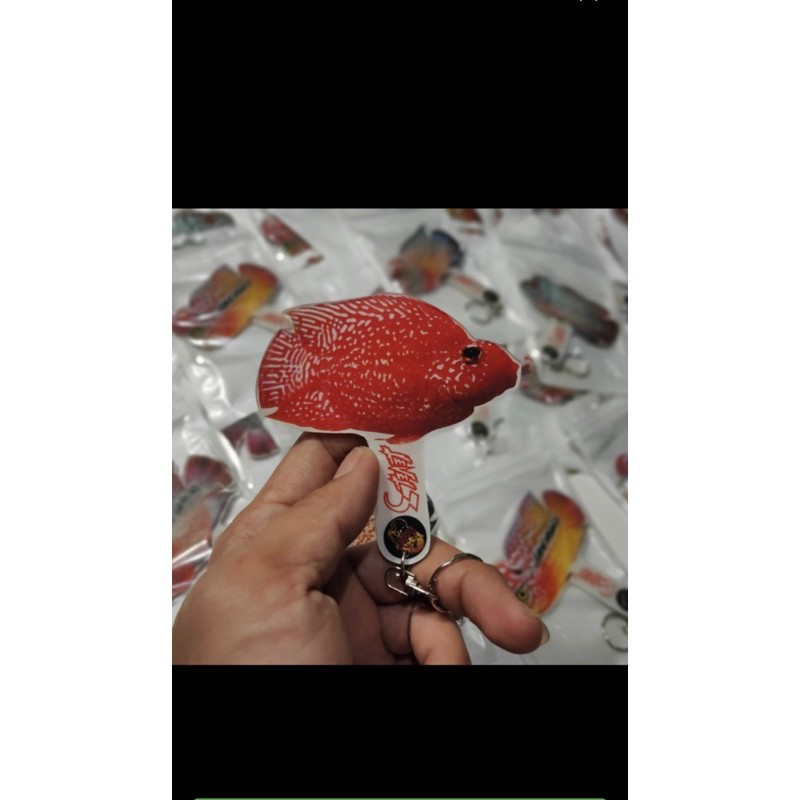 Jual wayang louhan untulan parot aclyric full gantungan kunci sedang ...