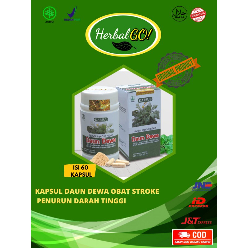 Jual Daun Dewa Ekstrak Herbal Tazakka 60 Kapsul Obat Stroke Penurun ...